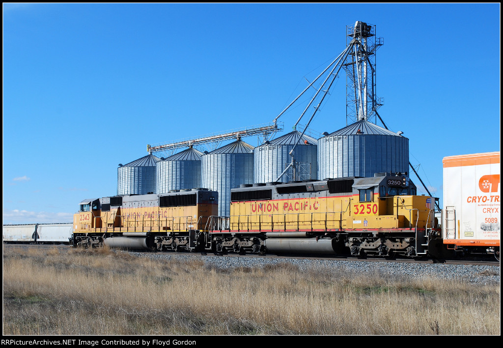 UP local 43 works the Ontario Yard